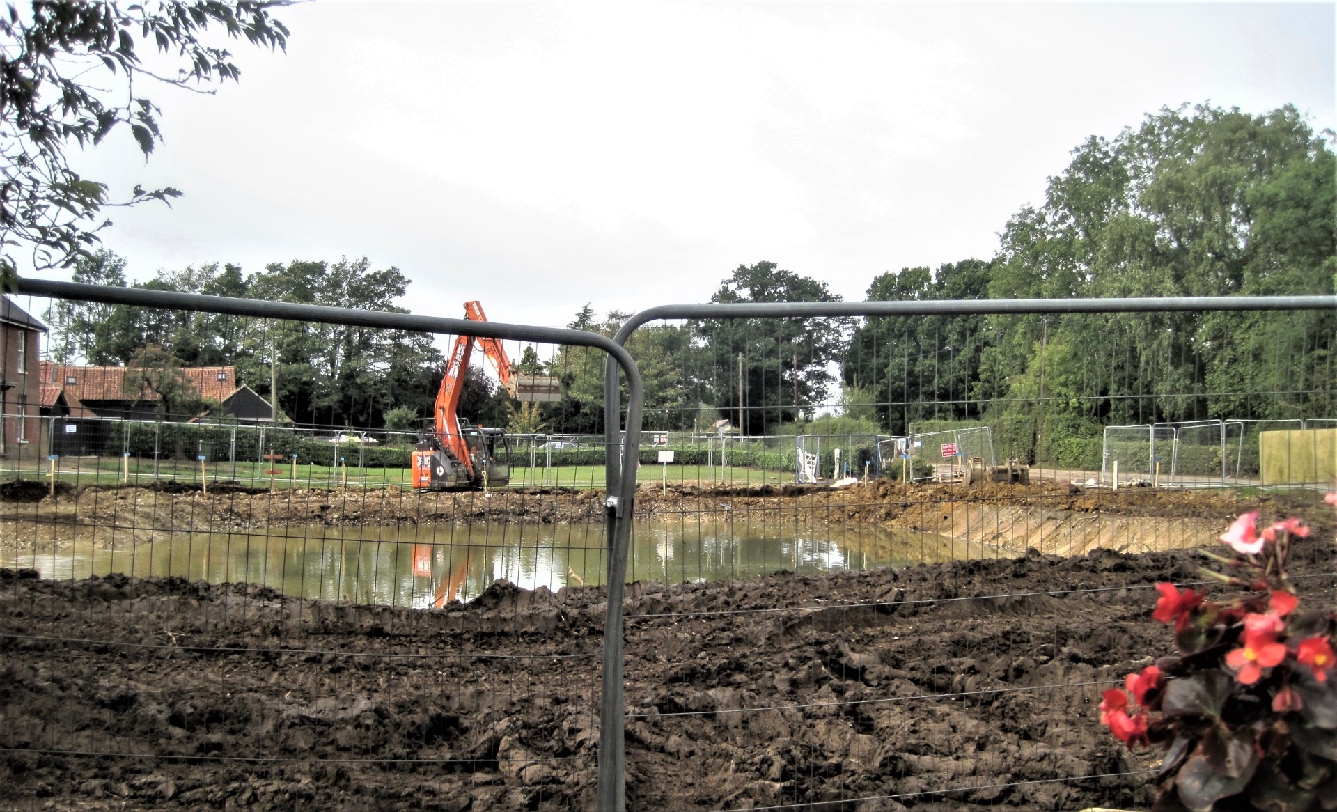 TOADWATCH :: ashwellthorpehistory.net
